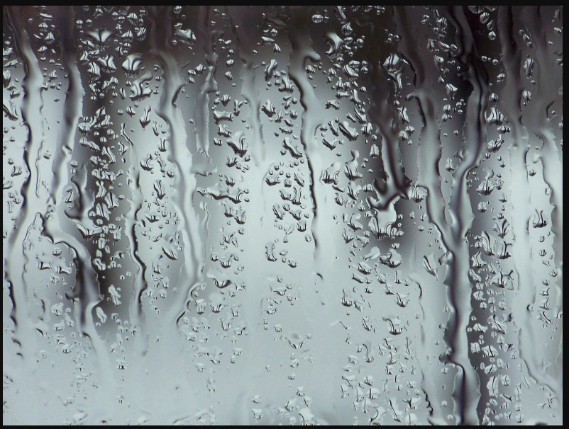 The Ultimate Guide to Choosing the Perfect Glass Shower Door - A ...